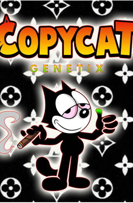 Copycat Genetix Archives - Proper Seeds Canada