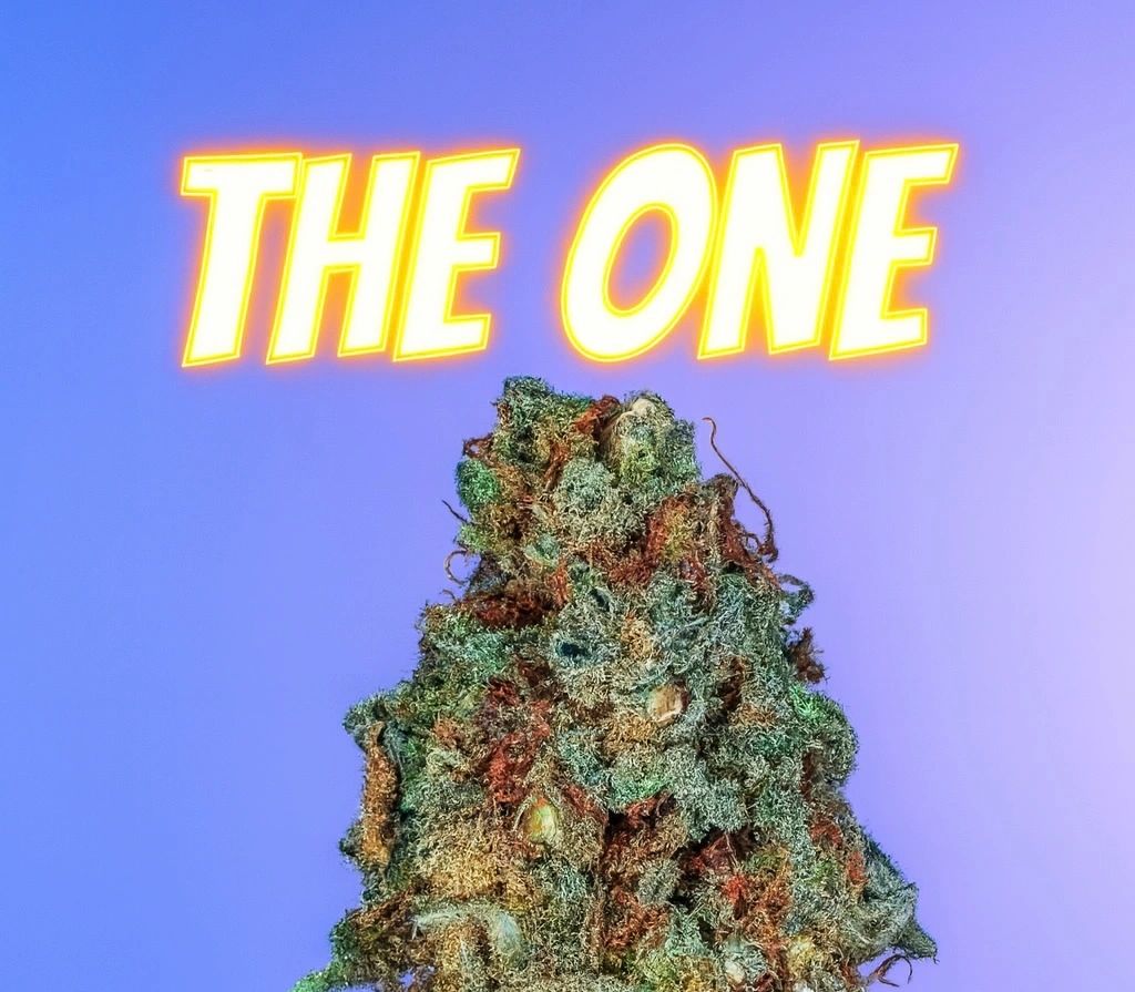The One S1 - Copycat Genetix - Proper Seeds