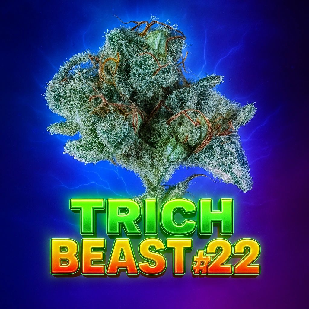Trich Beast #22 S1 - Copycat Genetix - Proper Seeds
